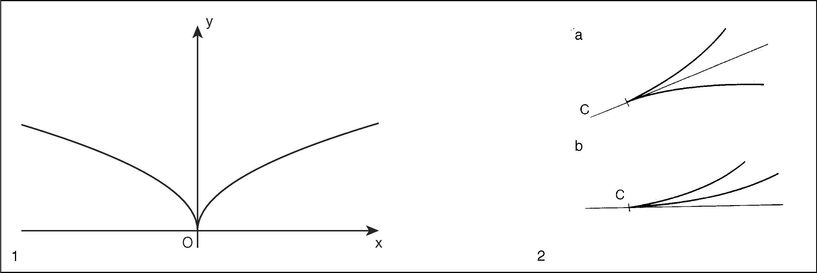 cuspide in "Enciclopedia della Matematica"