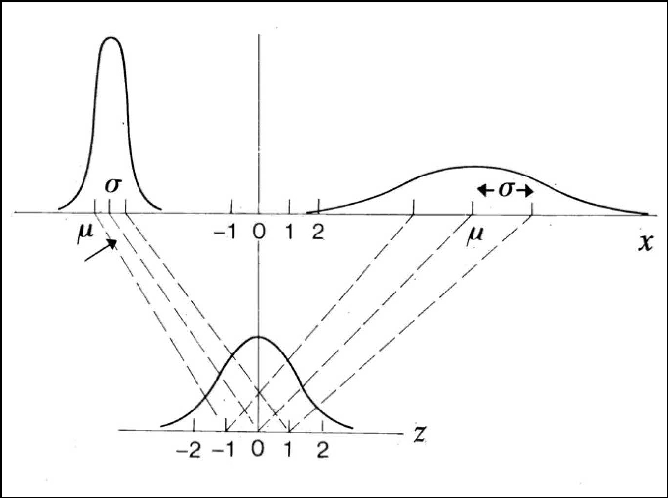 distribuzione normale in "Enciclopedia della Matematica"