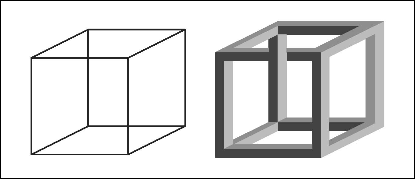Necker, cubo di in "Enciclopedia della Matematica"