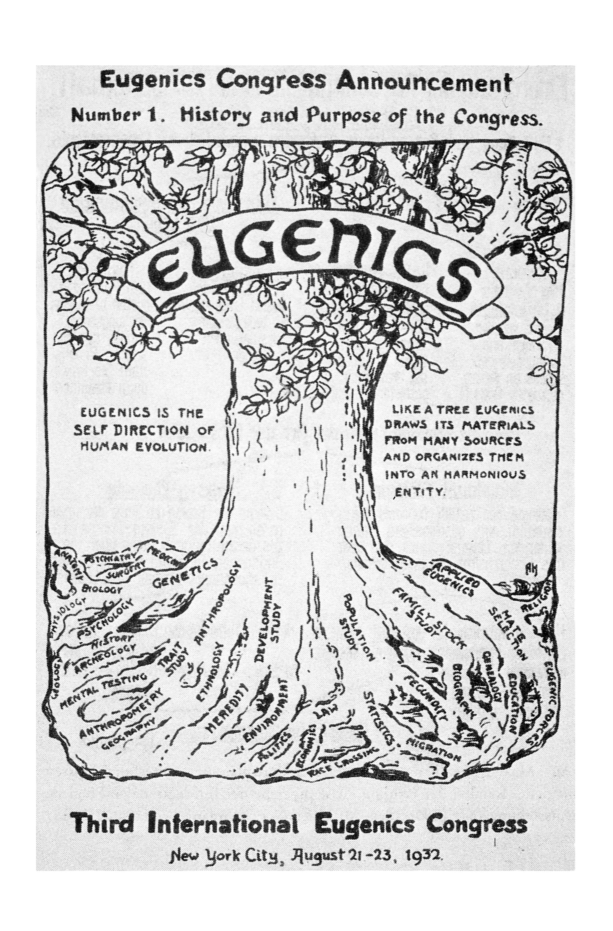 eugenetica (o eugenica) in "Dizionario di Medicina"