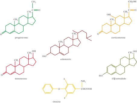 ormone in "Dizionario di Medicina"