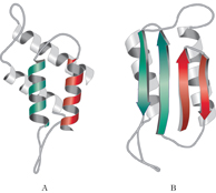 prione in "Dizionario di Medicina"