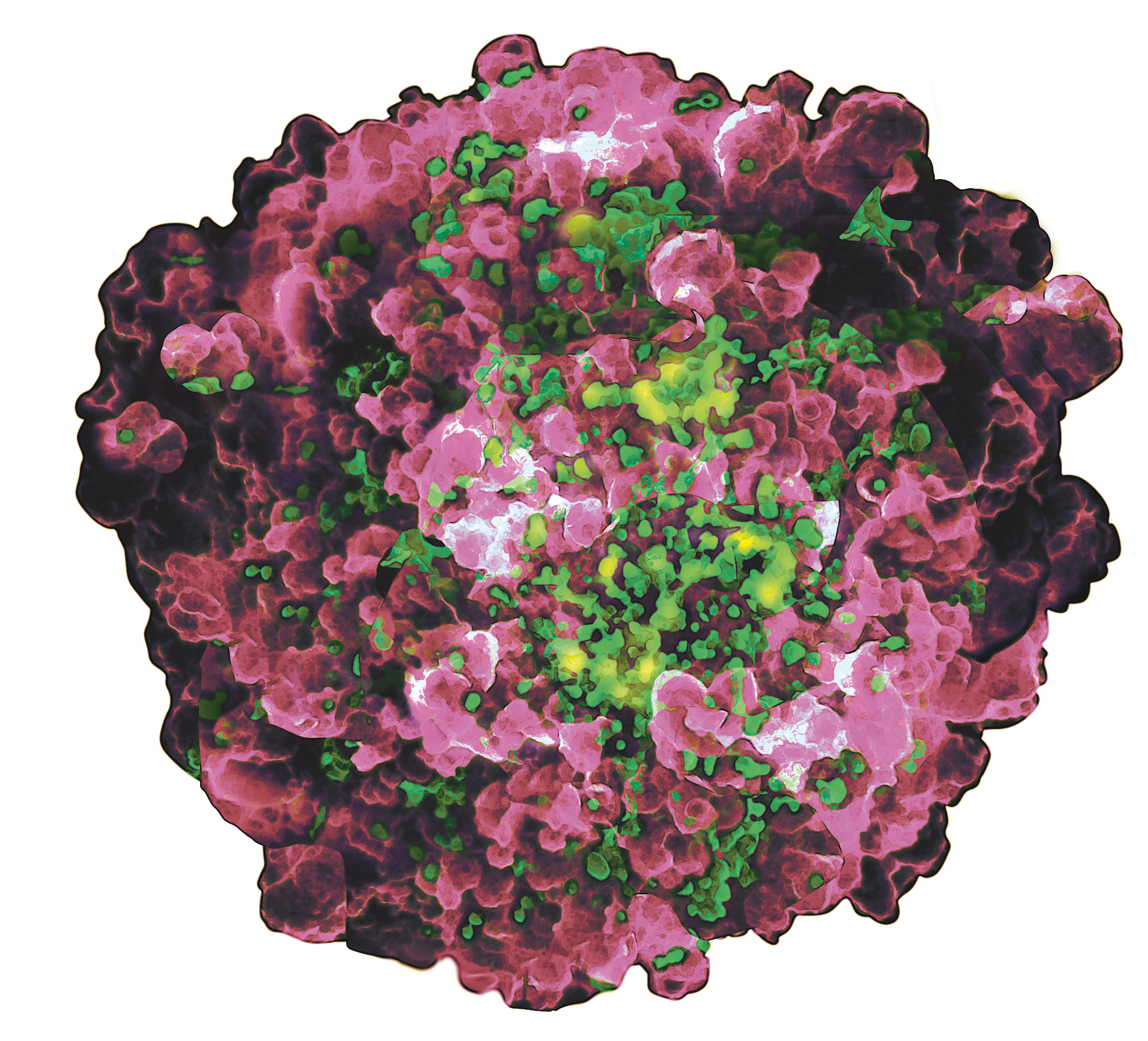 HIV, virus in "Dizionario di Medicina"