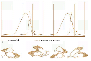 bioritmo nell'Enciclopedia Treccani