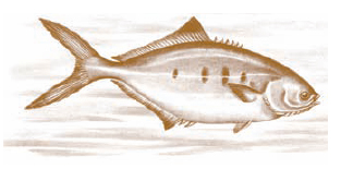 leccia nell'Enciclopedia Treccani