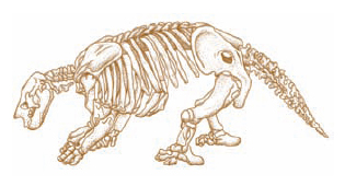 milodonte nell'Enciclopedia Treccani