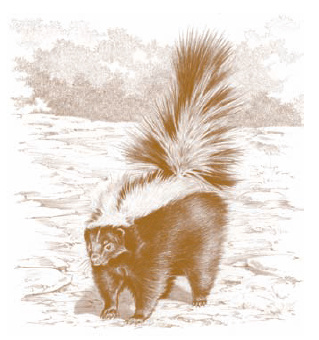 moffetta nell'Enciclopedia Treccani