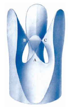 monoide nell'Enciclopedia Treccani