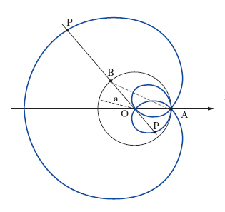 nefroide nell'Enciclopedia Treccani
