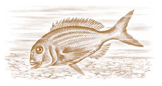 pagro nell'Enciclopedia Treccani