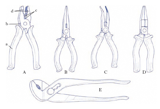 pinza nell'Enciclopedia Treccani