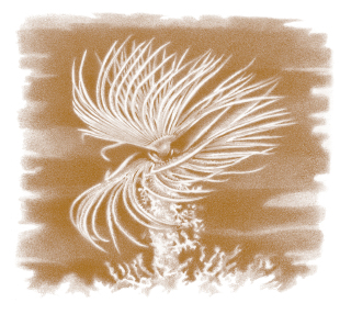 spirografo nell'Enciclopedia Treccani