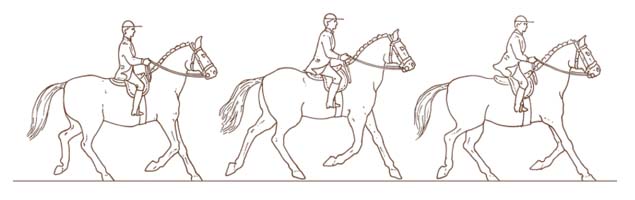 trotto nell'Enciclopedia Treccani