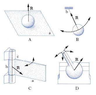 vincolo nell'Enciclopedia Treccani