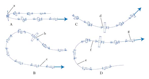 virata nell'Enciclopedia Treccani