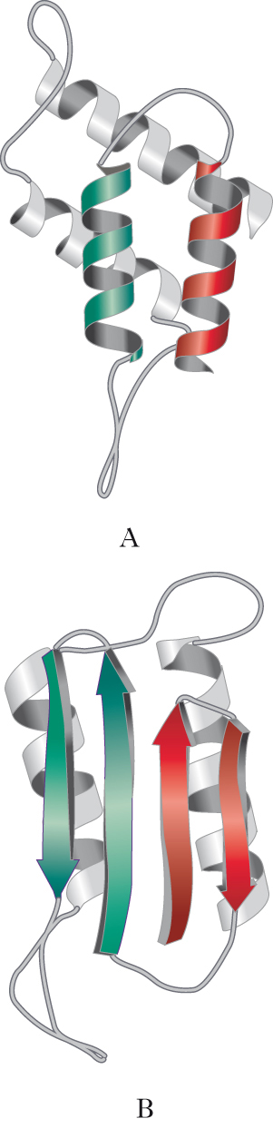 prione in "Dizionario di Medicina"